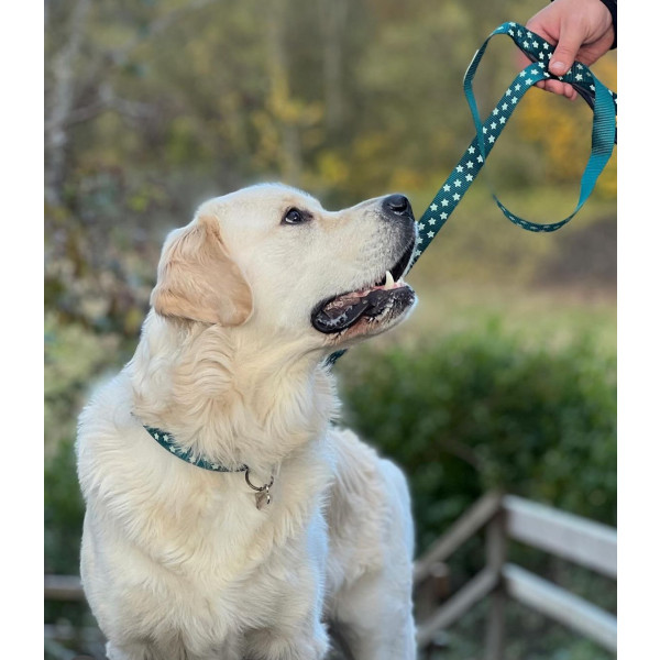 Originals Padded Strong Dog Lead | Doodlebone